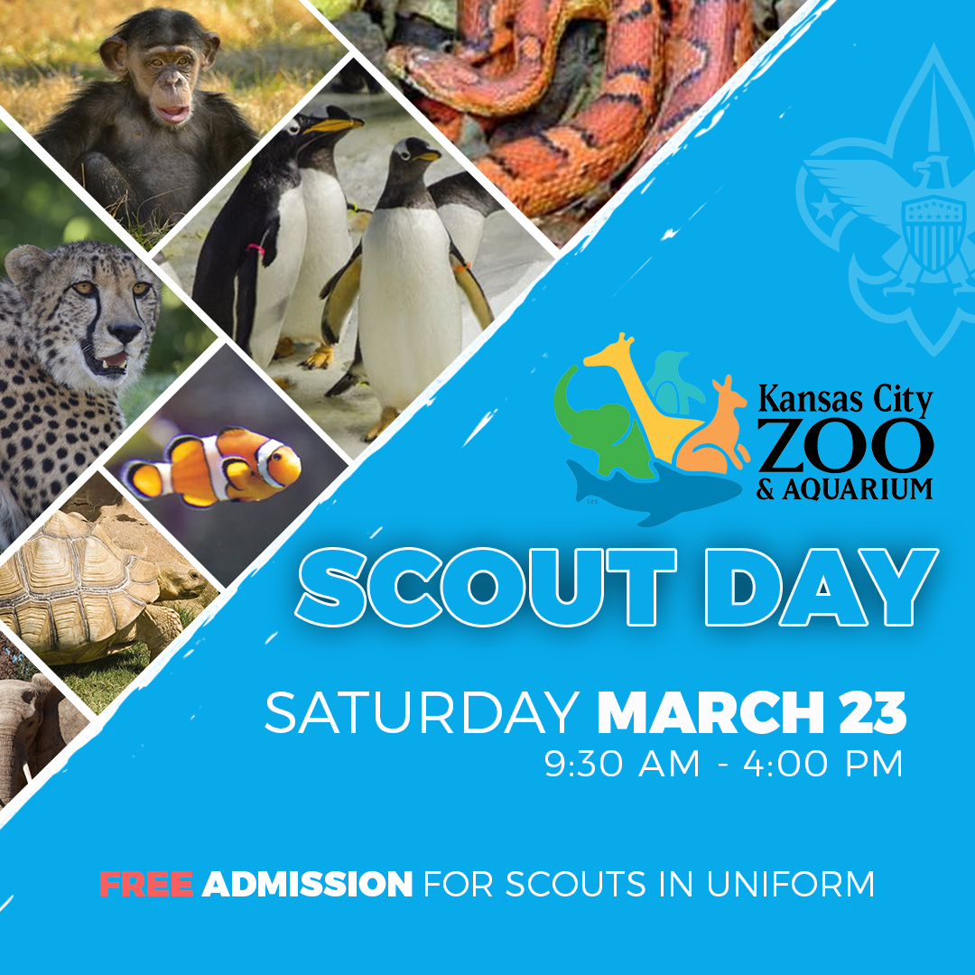 Activities — Heart of America Council — Boy Scouts of America